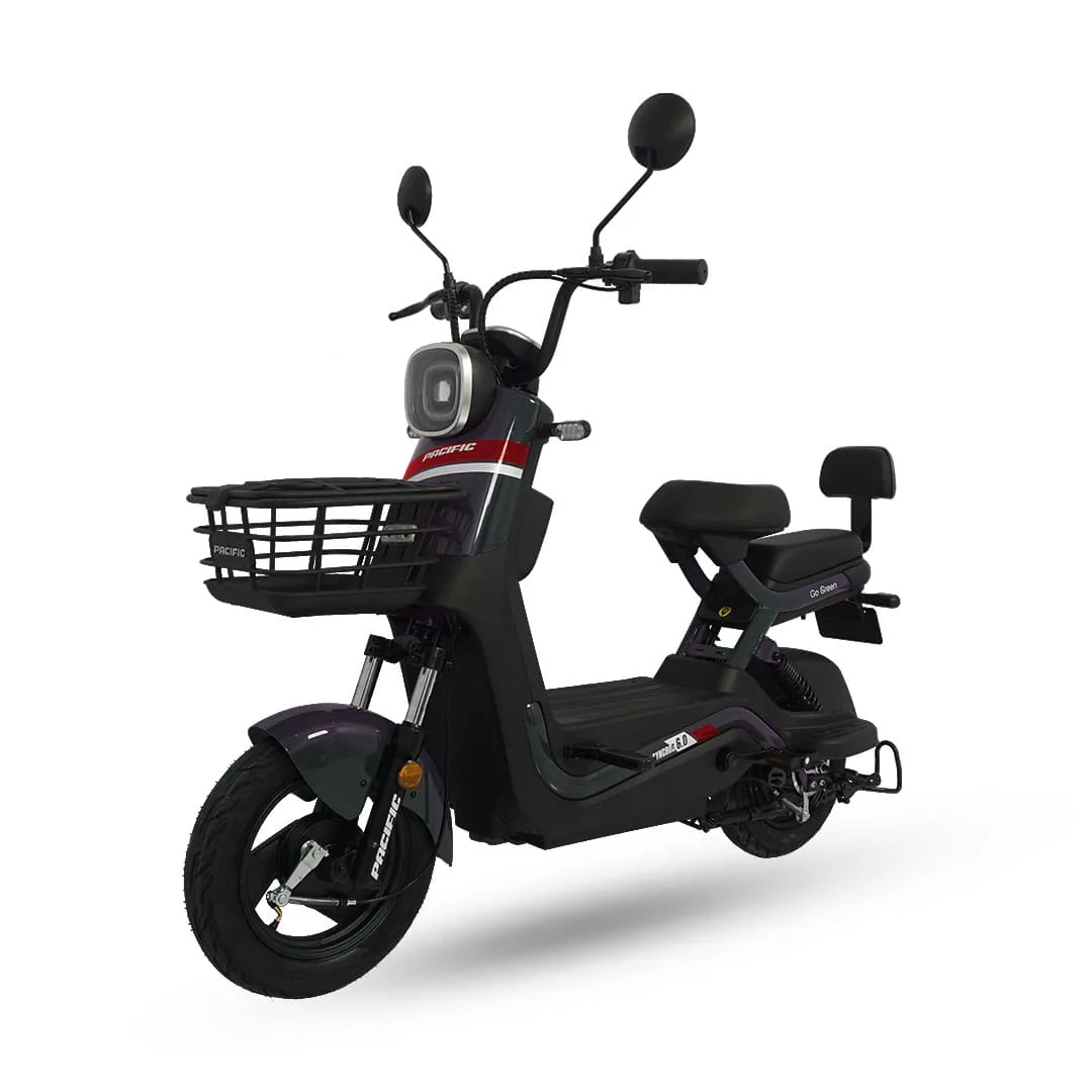 GOtrans – e-Motor & e-Bike