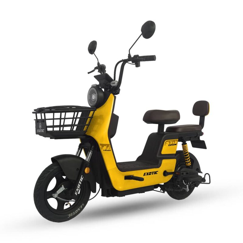 GOtrans – e-Motor & e-Bike