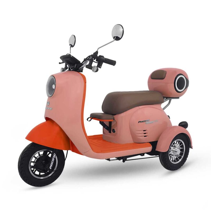 GOtrans – e-Motor & e-Bike